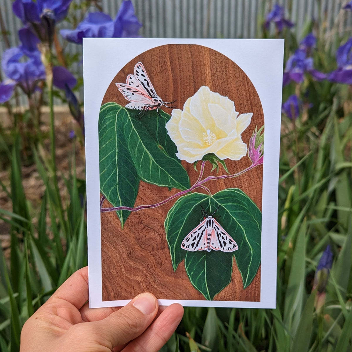 Arge Moth Card – Trox Gallery and Gifts